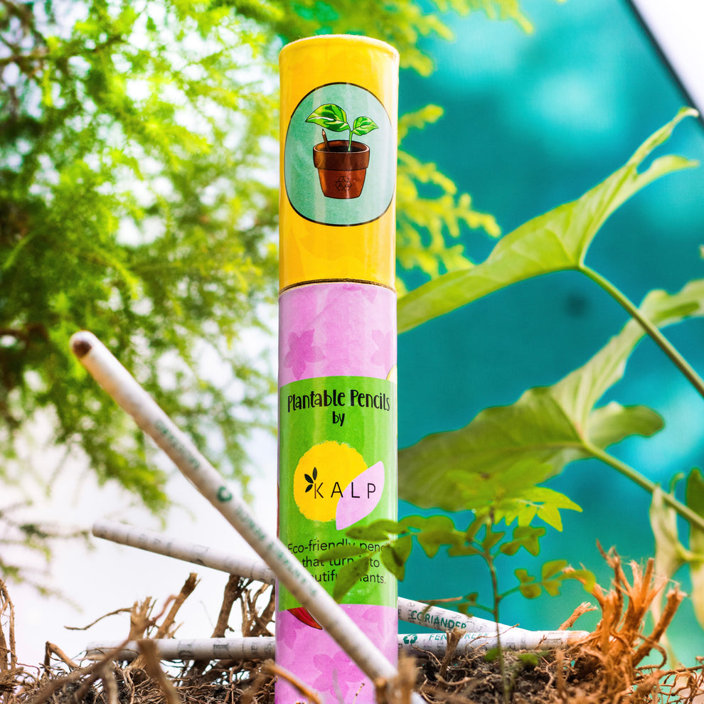 Plantable Seed Pencil – KALP
